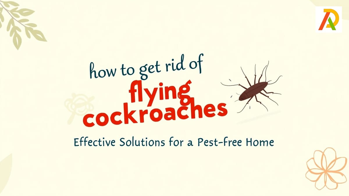How to get rid of flying cockroaches: 5 Effective Solutions
